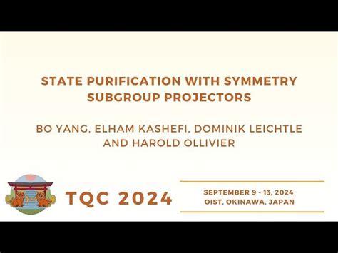 Free Video State Purification With Symmetry Subgroup Projectors From