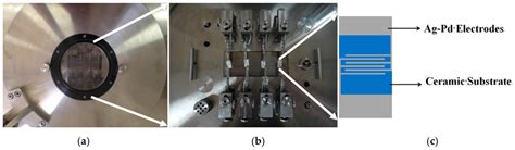 The Appearance Diagram A And The Internal Structure Diagram B Of