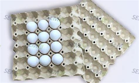 Eggs Packaging Sustainable Pulp Fiber Xact Prepack