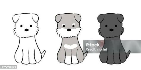Handdrawn Style Simple Cute Miniature Schnauzer Illustration Of Stock