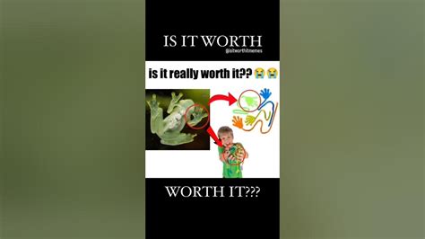 Is It Really Worth It Meme Compilation Youtube