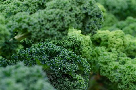 3 000 Free Arka Fon Kale And Kale Images Pixabay
