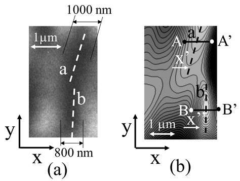 Possibility Of Biological Observations Using The Speckle Interferometry