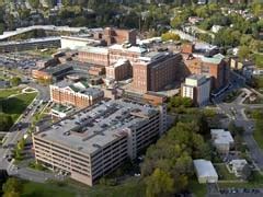 Albany Medical Center Program Pathology Resident Wiki Fandom