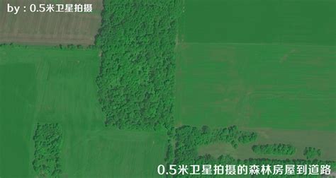 05米分辨率卫星 拍摄的林地树林房屋以及道路卫星图