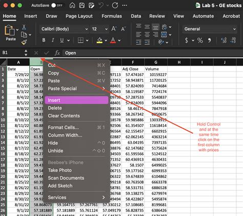 5 3 Preparing The Data Introduction To Statistics Excel Lab Manual