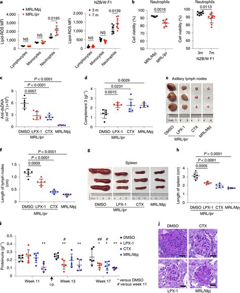 Ferroptosis Inhibitors Ameliorate Disease Progression In Mrllpr