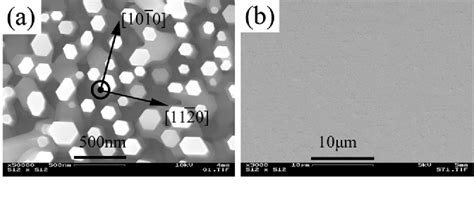 Figure 1 From Enforced C Axis Growth Of Zno Epitaxial Chemical Vapor