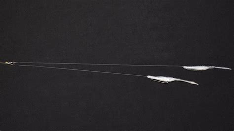 How To Rig A Texas Rig Tackle Warehouse