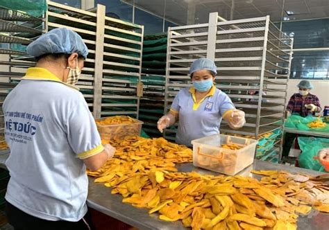 Quy trình sản xuất trái cây sấy dẻo