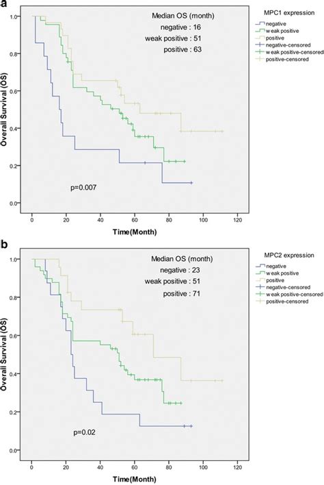 Mpc1 And Mpc2 Expressions Are Associated With Favorable Clinical Outcomes In Prostate Cancer Pmc