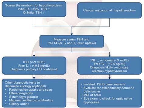 Congenital Hypothyroidism