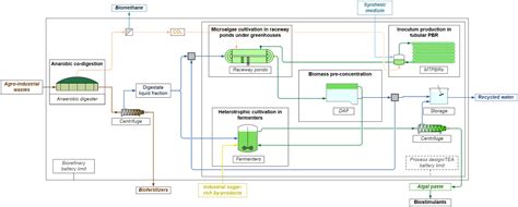 Integrating Microalgae Growth In Biomethane Plants Process Design Modelling And Cost