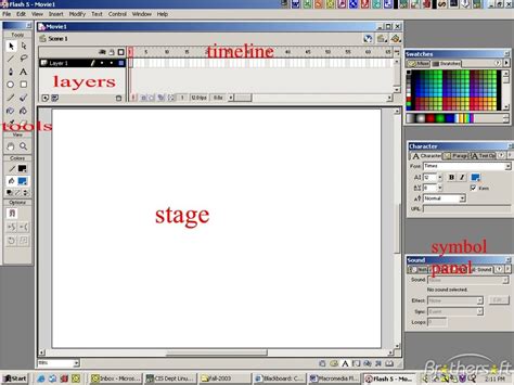 Diky Dulo Macromedia Flash