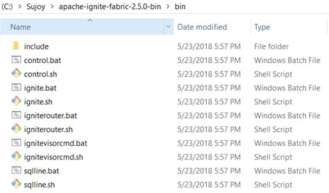 Apache Ignite Quick Start Guide
