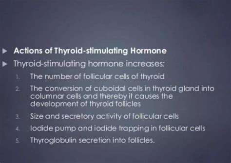 Thyroid Stimulating Hormone Pdf