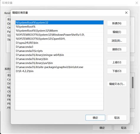 Failed To Create Process While Using R Extension At Vscode Platform