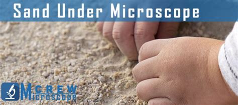 How Does Sand Look Under A Microscope Microscope Crew