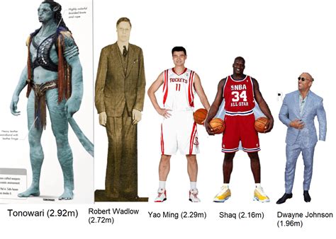 Avatar Height Comparison At Christy Calvin Blog