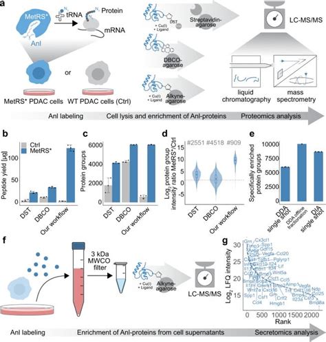 Joseph Steward On Linkedin Cell Selective Proteomics Segregates