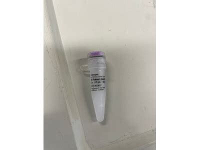 Pcr Master Mix Useful For A Wide Range Of Applications Biocompare Com Kit Reagent Review