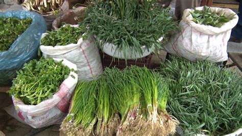 هاوڵاتی ناوەرؤکی هەواڵ