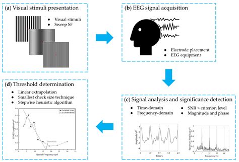 Sensors Free Full Text Assessment Of Human Visual Acuity Using Visual Evoked Potential A Review