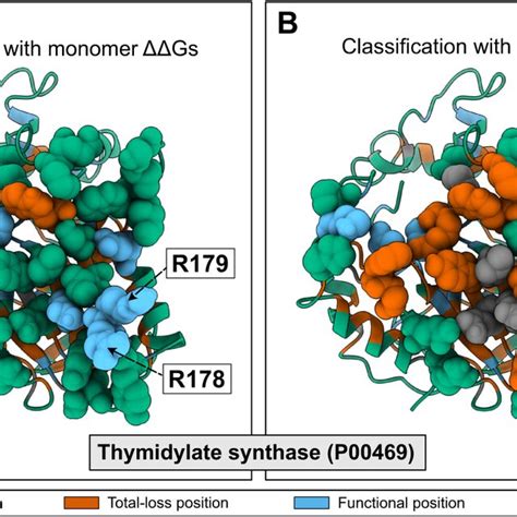 Analysing Functional Sites At A Protein Protein Interface We Show The