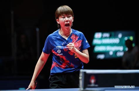 Table Tennis Xintong At Donna Bull Blog