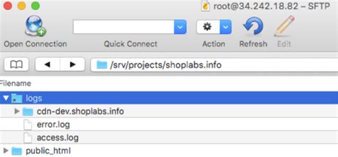 server and access logs docs of managed hosting solution