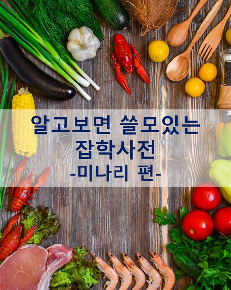 알고보면 쓸모있는 잡학사전