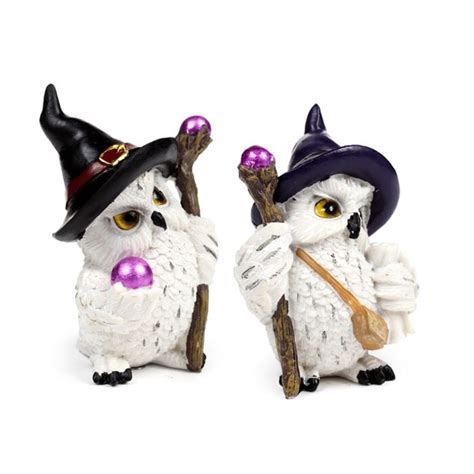 Alte Weise Magische Eule Auf Magischer Reise