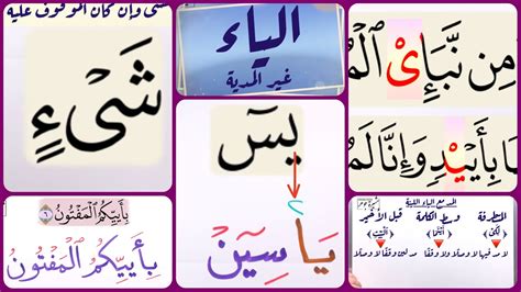 📣٣٠الياء غير المدية الفرق بينها وبين الياء المدية ومقدار مدها في يسٓ ، كٓهيعٓصٓ Alyaa