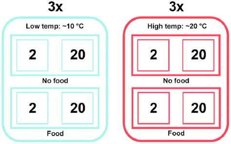 Schematic Drawing Of The Experimental Setup With P Leniusculus And A
