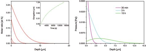 Time Evolution Of The Nitrogen Concentration Depth Profiles A And