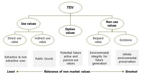 Environmental Valuation The Intrinsic Value Of Nature Sapere