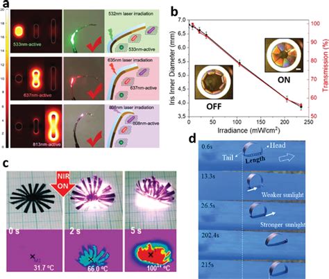 Soft Actuators Based On Photothermally Driven Differential Thermal Download Scientific Diagram