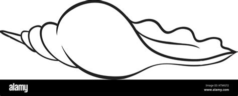 Illustration Of A Cockleshell Sketch On A White Background Stock Vector