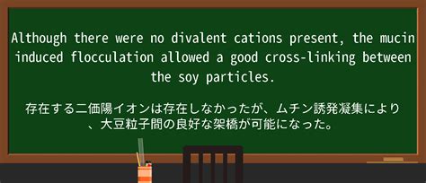 【英単語】divalent Cationsを徹底解説！意味、使い方、例文、読み方