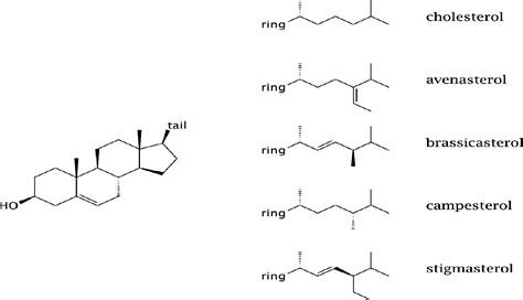 Figure 1 From The Effects Of Dietary Phytosterol And Cholesterol Concentration In Infant Formula