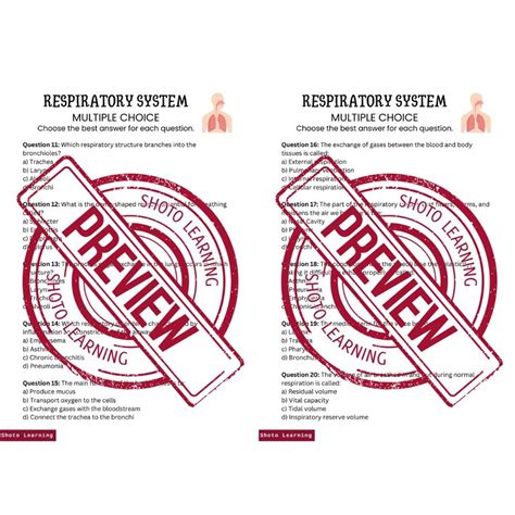 Respiratory System Flashcards Learn Fast