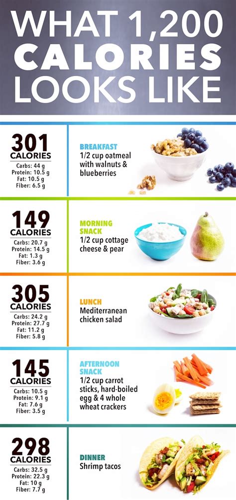 Provide Perfect Diet Chartdiet Plan Guidance By Saimaparacha