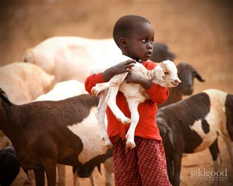 Kenya Dieren Nara Fotografie