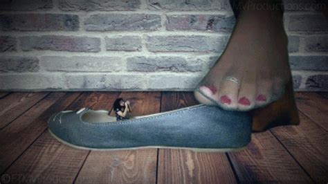 Tiny Nerd Girl Caught Napping In A Shoe By Naughty Y Schoolgirl And Then Taunted And Squashed