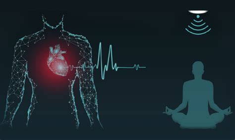 24ghz Fmcw Human Presence Detection Sensor For Smart Homes China Microwave Motion Sensor