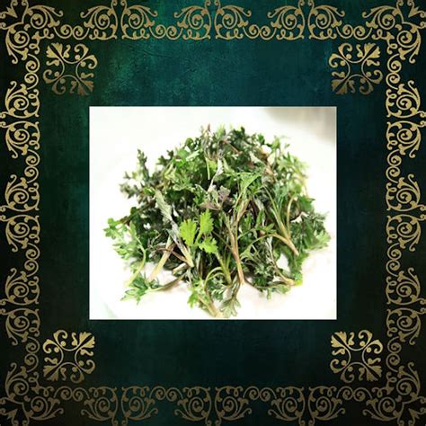 Wormwood Essential Oil The Purple Ecovillage
