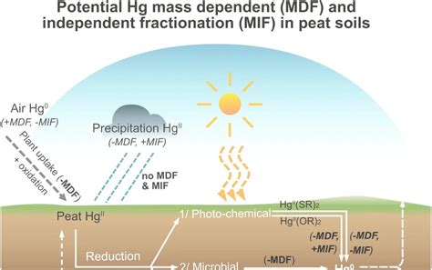 Mercury Biogeochemical Cycling Deposition And Redox Processes