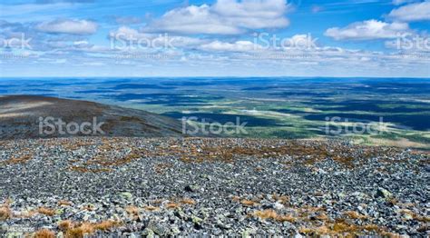 Beautiful Shot Of Green Hills And Valleys In Pallastunturi National