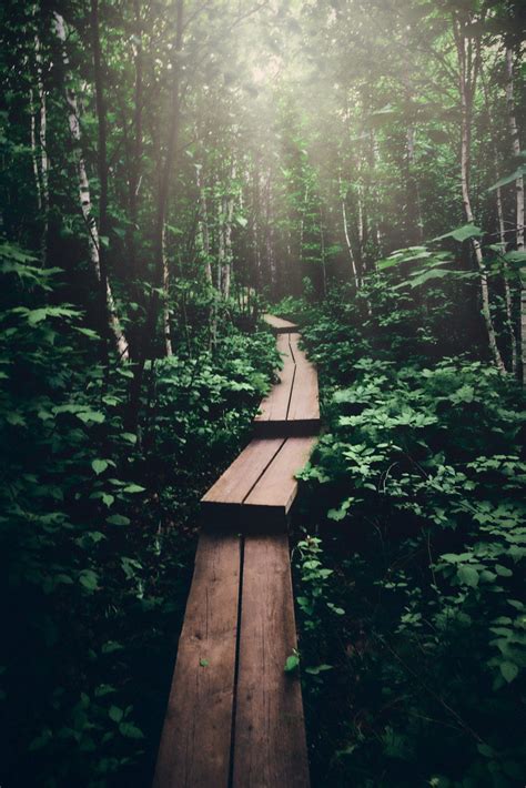 Forward Pictures Download Free Images On Unsplash