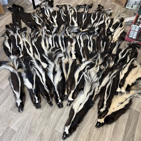 Skunk Hide Hat Etsy